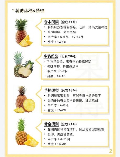 男生吃菠萝是什么意思_男生吃菠萝有什么好处-第1张图片-山城妙识