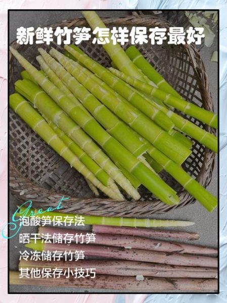 新鲜竹笋怎么处理才能吃_竹笋去涩最快方法-第2张图片-山城妙识