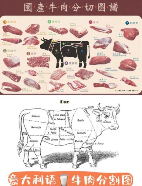 牛肉怎么切_牛肉逆纹还是顺纹切-第3张图片-山城妙识