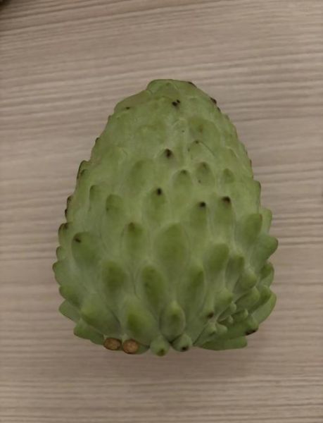 三亚水果特产有哪些_三亚必买热带水果清单-第3张图片-山城妙识 三亚水果特产有哪些_三亚必买热带水果清单-第3张图片-山城妙识