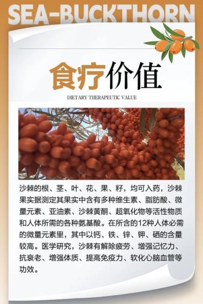 沙棘籽油的功效与作用_沙棘籽油怎么吃效果最好-第1张图片-山城妙识 沙棘籽油的功效与作用_沙棘籽油怎么吃效果最好-第1张图片-山城妙识