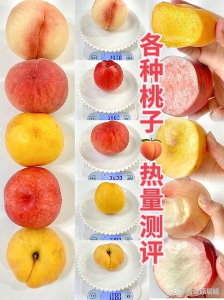桃子热量高吗_桃子有哪些功效-第2张图片-山城妙识