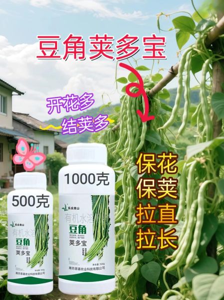 豆荚怎么种_豆荚种植多久能收获-第3张图片-山城妙识 豆荚怎么种_豆荚种植多久能收获-第3张图片-山城妙识