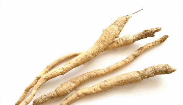 南沙参图片大全_南沙参长什么样-第1张图片-山城妙识 南沙参图片大全_南沙参长什么样-第1张图片-山城妙识