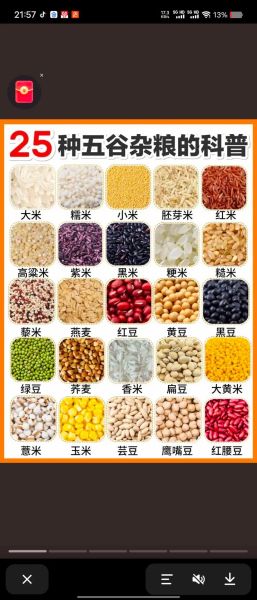 五谷杂粮有哪些_杂粮怎么吃最健康-第2张图片-山城妙识