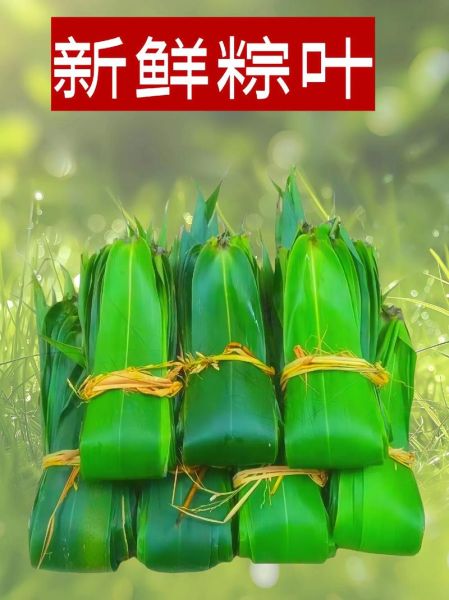 粽叶煮多久可以包粽子_粽叶煮多长时间才软-第1张图片-山城妙识