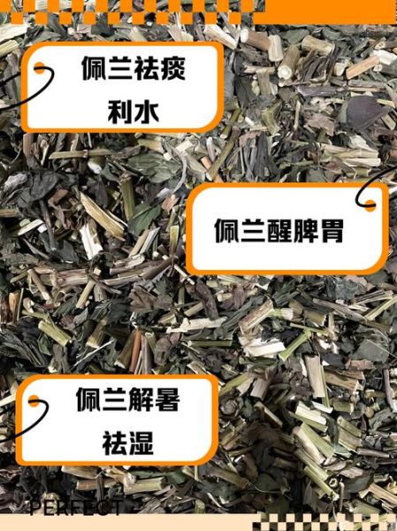 佩兰的功效与作用_佩兰泡水喝有什么禁忌-第1张图片-山城妙识 佩兰的功效与作用_佩兰泡水喝有什么禁忌-第1张图片-山城妙识