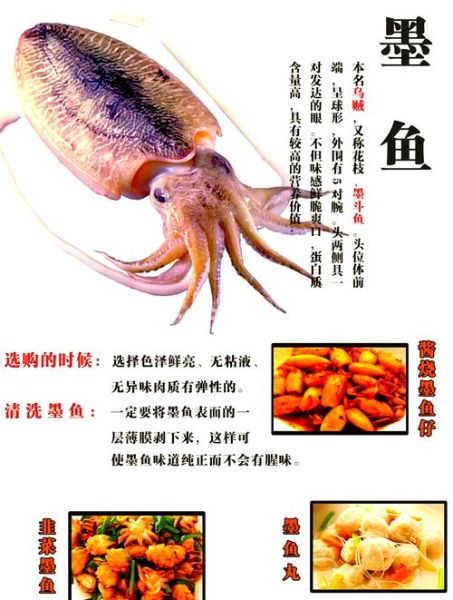 小章鱼怎么处理干净_小章鱼清洗内脏步骤-第3张图片-山城妙识 小章鱼怎么处理干净_小章鱼清洗内脏步骤-第3张图片-山城妙识