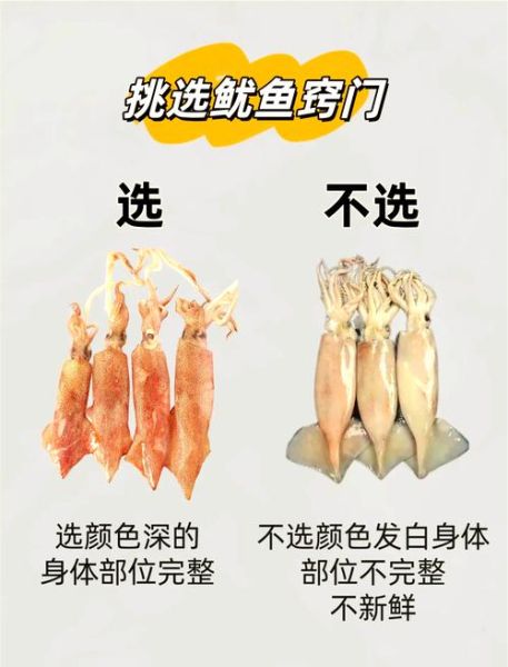 海产品图片大全_如何辨别新鲜海鲜-第1张图片-山城妙识