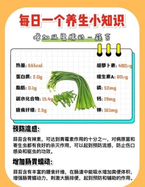 蒜苔的功效与作用及禁忌_哪些人不能吃蒜苔-第1张图片-山城妙识 蒜苔的功效与作用及禁忌_哪些人不能吃蒜苔-第1张图片-山城妙识