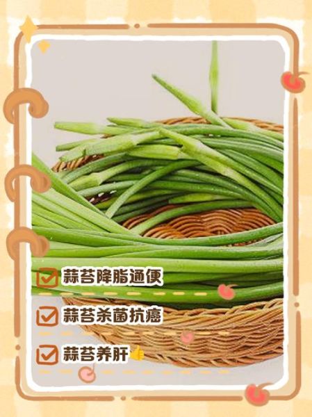 蒜苔的功效与作用及禁忌_哪些人不能吃蒜苔-第3张图片-山城妙识 蒜苔的功效与作用及禁忌_哪些人不能吃蒜苔-第3张图片-山城妙识