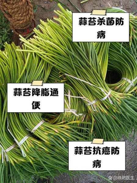 蒜苔的功效与作用及禁忌_哪些人不能吃蒜苔-第2张图片-山城妙识 蒜苔的功效与作用及禁忌_哪些人不能吃蒜苔-第2张图片-山城妙识