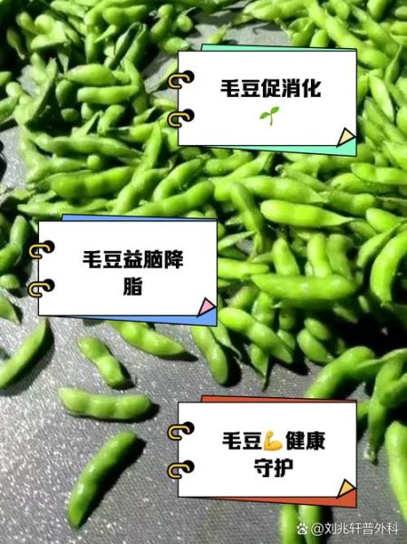 毛豆的功效与作用_毛豆的禁忌有哪些-第2张图片-山城妙识 毛豆的功效与作用_毛豆的禁忌有哪些-第2张图片-山城妙识