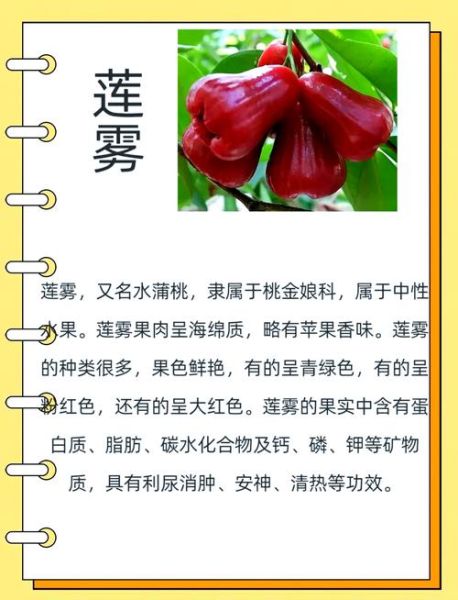 莲雾中间芯能吃吗_莲雾芯口感怎么样-第1张图片-山城妙识 莲雾中间芯能吃吗_莲雾芯口感怎么样-第1张图片-山城妙识