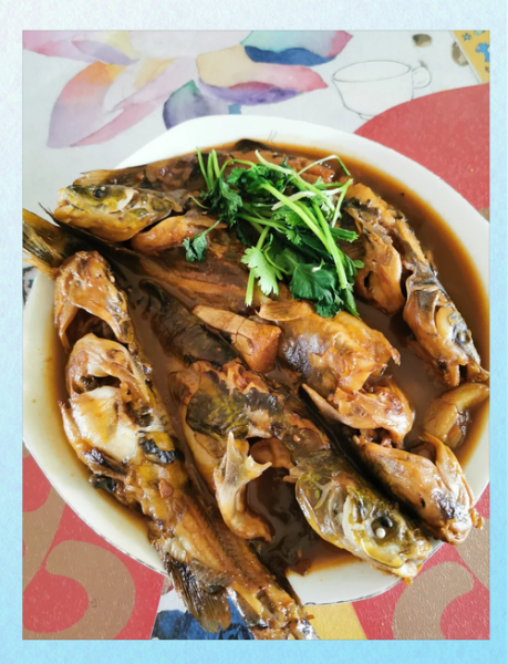 嘎鱼吃什么能养活_嘎鱼饲料怎么选-第2张图片-山城妙识 嘎鱼吃什么能养活_嘎鱼饲料怎么选-第2张图片-山城妙识