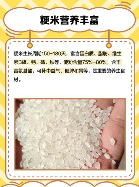 粳米好吃还是大米好吃_哪个更香软-第1张图片-山城妙识