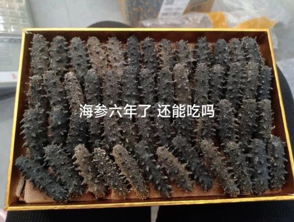 干海参能放多久_干海参保质期多久-第2张图片-山城妙识