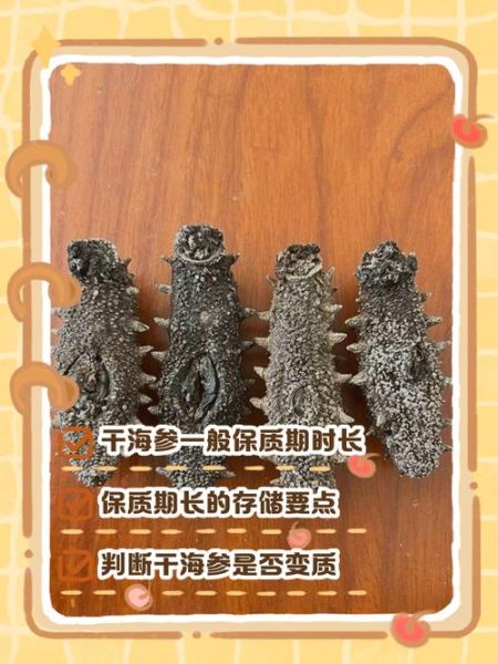 干海参能放多久_干海参保质期多久-第1张图片-山城妙识