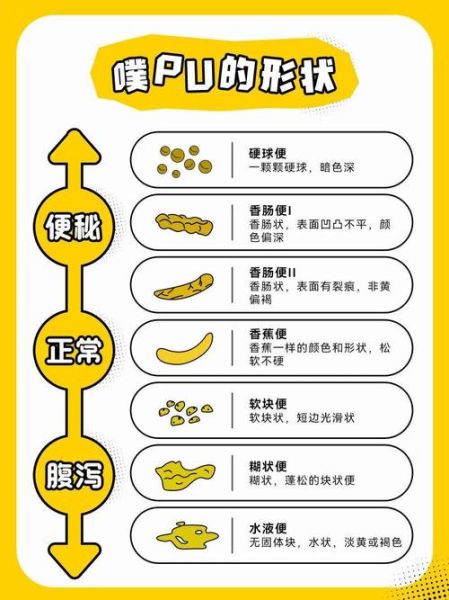 吃什么治便秘效果最好_便秘吃什么最快排便-第1张图片-山城妙识