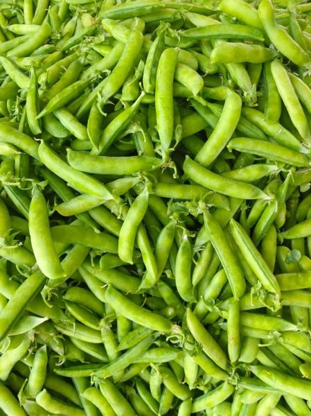 青豌豆的营养价值_青豌豆有哪些营养成分-第1张图片-山城妙识