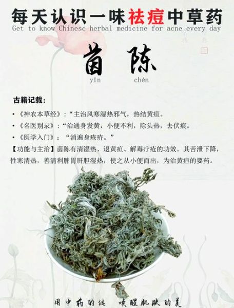 茵陈能提高性功能吗_茵陈对男性性功能的影响-第2张图片-山城妙识