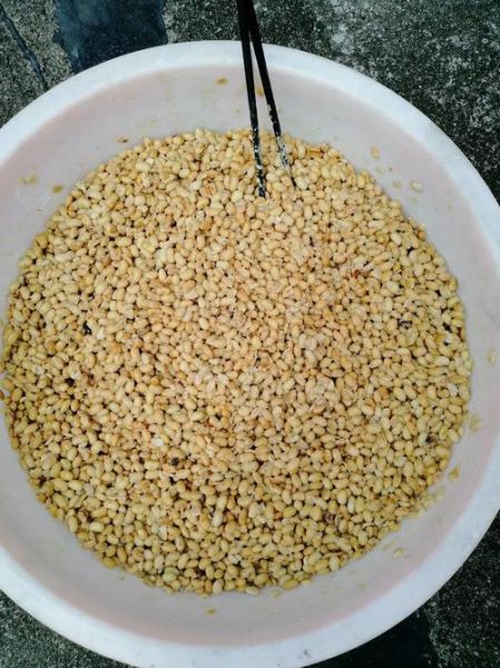 豆豉发酵正常霉图片_豆豉发霉还能吃吗-第2张图片-山城妙识 豆豉发酵正常霉图片_豆豉发霉还能吃吗-第2张图片-山城妙识