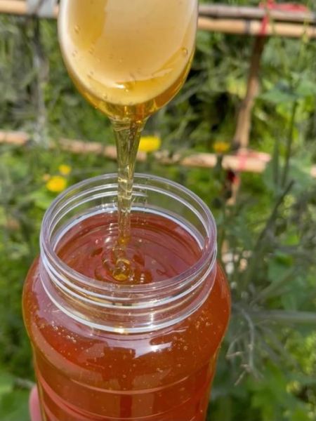 枣花蜜的功效与作用及禁忌_哪些人不能吃-第3张图片-山城妙识 枣花蜜的功效与作用及禁忌_哪些人不能吃-第3张图片-山城妙识