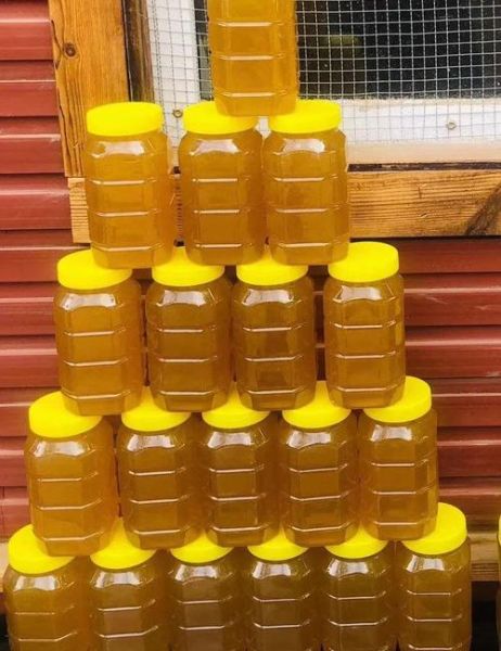 枣花蜜的功效与作用及禁忌_哪些人不能吃-第1张图片-山城妙识 枣花蜜的功效与作用及禁忌_哪些人不能吃-第1张图片-山城妙识