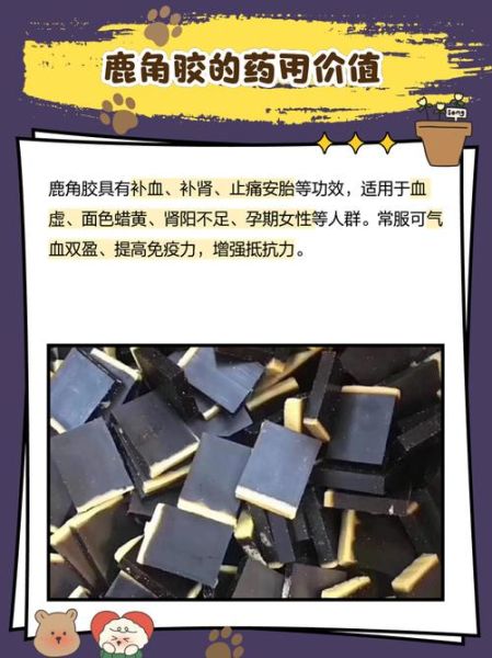 鹿角胶固元膏怎么做_鹿角胶固元膏配方比例-第1张图片-山城妙识