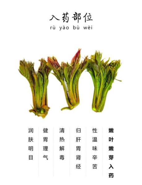 吃香椿的好处和坏处_香椿吃多了有什么副作用-第2张图片-山城妙识 吃香椿的好处和坏处_香椿吃多了有什么副作用-第2张图片-山城妙识