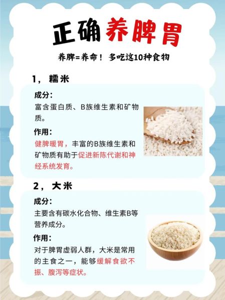 脾虚吃什么调理_脾虚的症状吃什么好-第3张图片-山城妙识