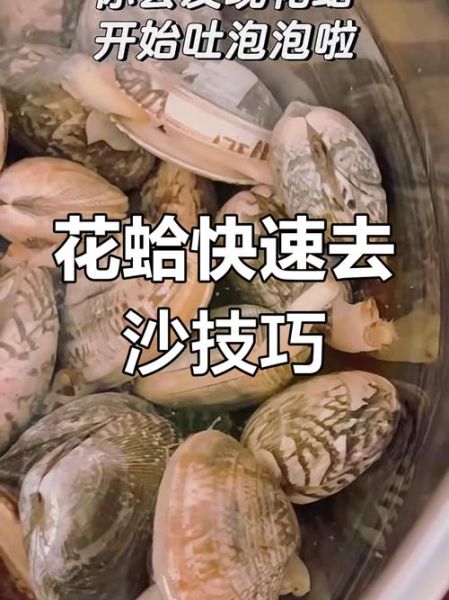 花蛤怎么清洗_花蛤家常做法视频教程-第1张图片-山城妙识