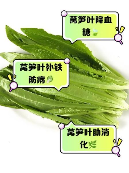 莴笋叶子吃了会中毒吗_莴笋叶子有毒吗-第1张图片-山城妙识