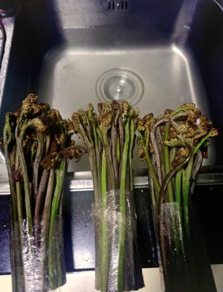 蕨菜怎么做好吃_蕨菜焯水多久才安全-第1张图片-山城妙识