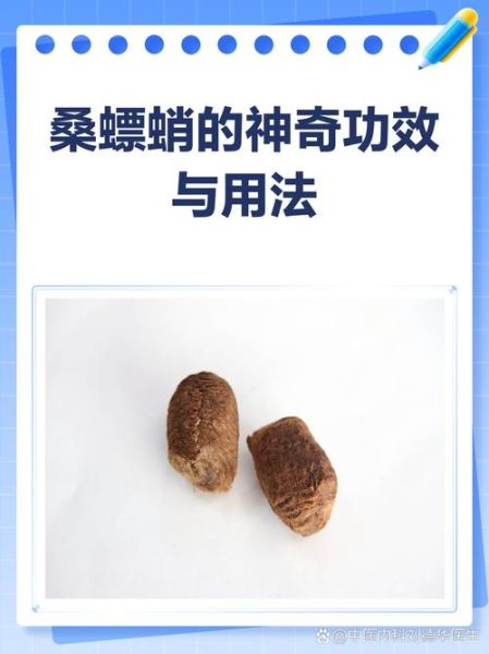 桑螵蛸的副作用有哪些_桑螵蛸吃了会上火吗-第3张图片-山城妙识