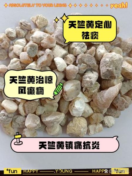 天竺黄的功效与作用禁忌_哪些人不能吃-第1张图片-山城妙识