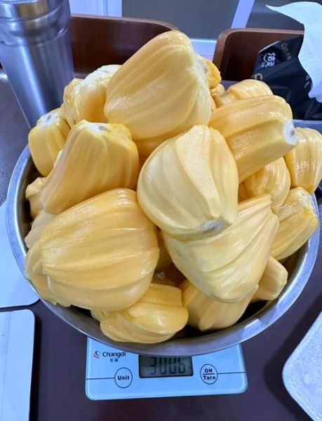 菠萝蜜多少钱一斤_菠萝蜜价格受哪些因素影响-第3张图片-山城妙识 菠萝蜜多少钱一斤_菠萝蜜价格受哪些因素影响-第3张图片-山城妙识