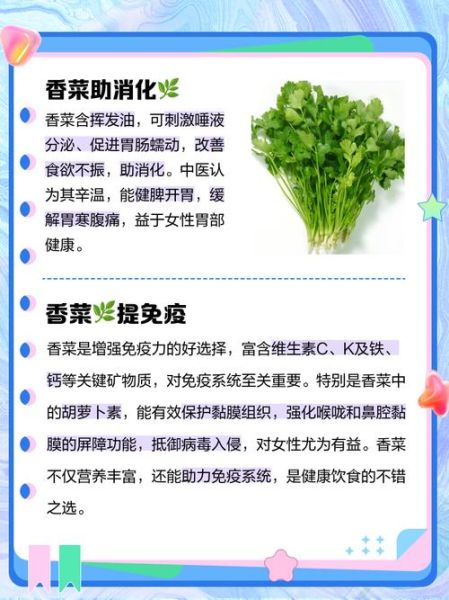 吃香菜有什么好处_香菜的营养价值-第3张图片-山城妙识