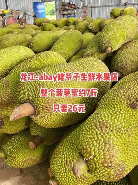 菠萝蜜多少钱一斤_菠萝蜜价格受哪些因素影响-第2张图片-山城妙识 菠萝蜜多少钱一斤_菠萝蜜价格受哪些因素影响-第2张图片-山城妙识