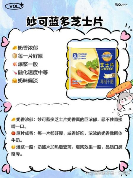 芝士片哪个牌子好_芝士片选购指南-第1张图片-山城妙识