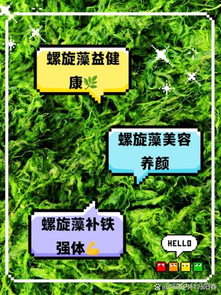 螺旋藻的功效与作用_螺旋藻怎么吃才有效-第3张图片-山城妙识