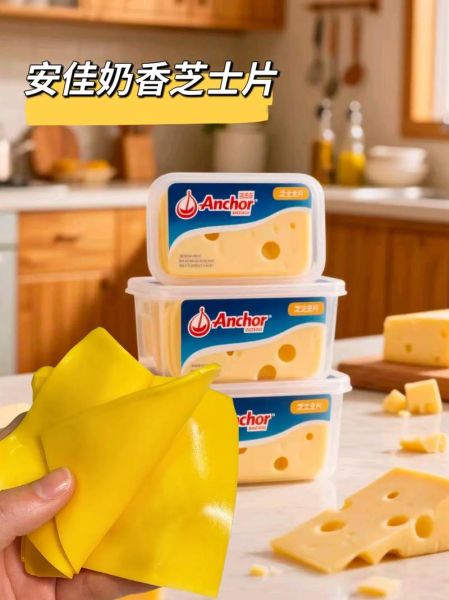 芝士片哪个牌子好_芝士片选购指南-第2张图片-山城妙识