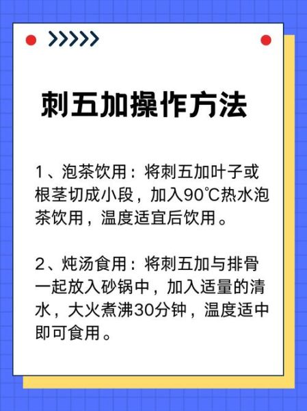 刺五加的功效与作用_刺五加适合什么人吃-第3张图片-山城妙识 刺五加的功效与作用_刺五加适合什么人吃-第3张图片-山城妙识