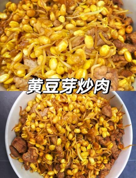 豆芽炒肉丝怎么炒才脆_豆芽炒肉丝用焯水吗-第3张图片-山城妙识 豆芽炒肉丝怎么炒才脆_豆芽炒肉丝用焯水吗-第3张图片-山城妙识
