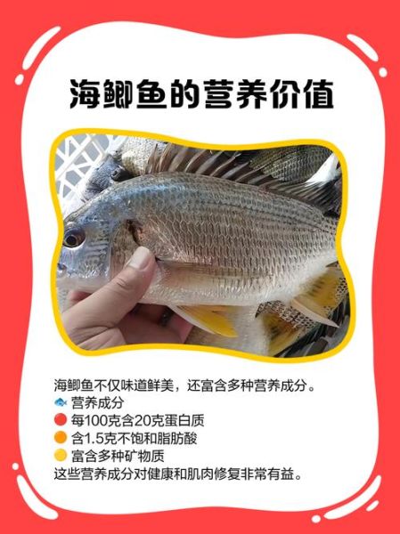 海鲫鱼和鲫鱼有什么区别_海鲫鱼是鲫鱼吗-第3张图片-山城妙识