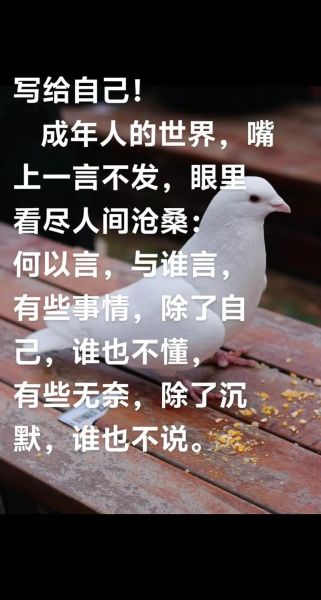 心太软歌词表达了什么感情_如何走出情感自责-第3张图片-山城妙识