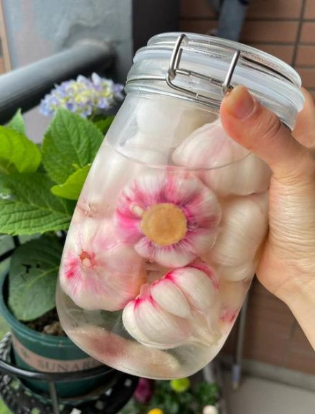 甜蒜怎么腌制_家常甜蒜腌制方法-第3张图片-山城妙识