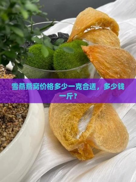 雪燕多少钱一斤_雪燕价格为什么差别大-第1张图片-山城妙识