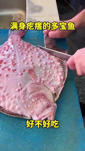 多宝鱼皮上疙瘩怎么弄_多宝鱼皮疙瘩处理方法-第1张图片-山城妙识 多宝鱼皮上疙瘩怎么弄_多宝鱼皮疙瘩处理方法-第1张图片-山城妙识