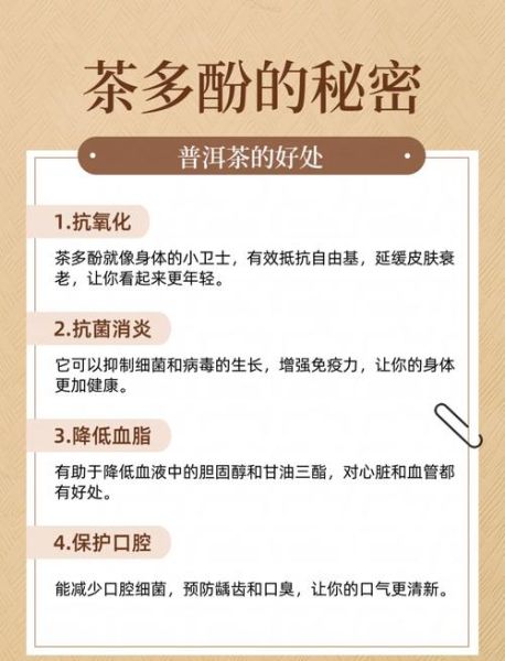 普洱茶的功效与作用_普洱茶怎么喝才减肥-第1张图片-山城妙识 普洱茶的功效与作用_普洱茶怎么喝才减肥-第1张图片-山城妙识